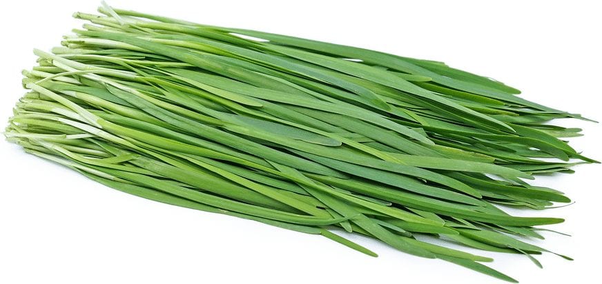 Chives – Origin, Uses, Tips