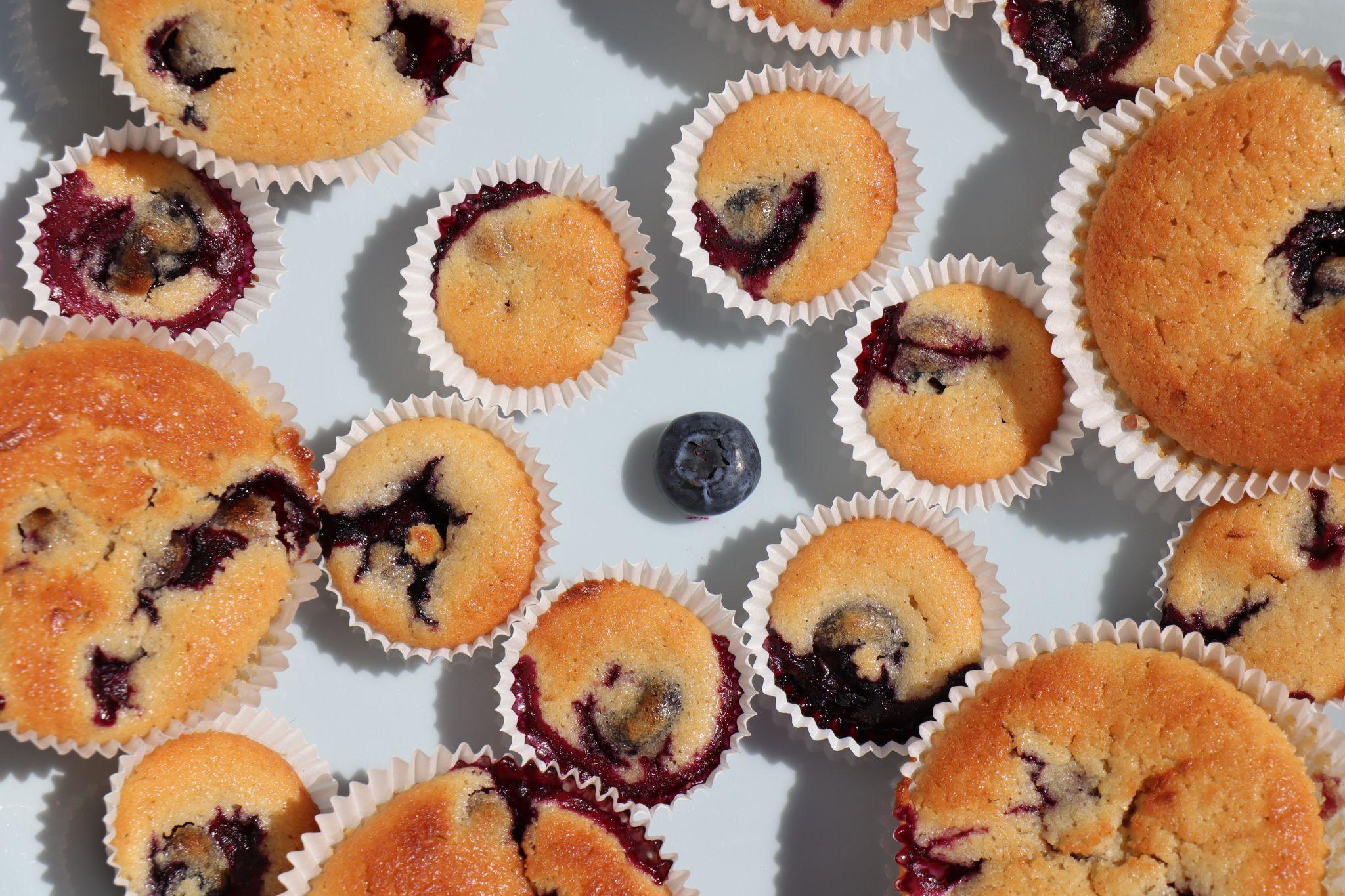 What Is The Difference Between A Muffin And A Cupcake What Is The Difference Between A Muffin And A Cupcake
